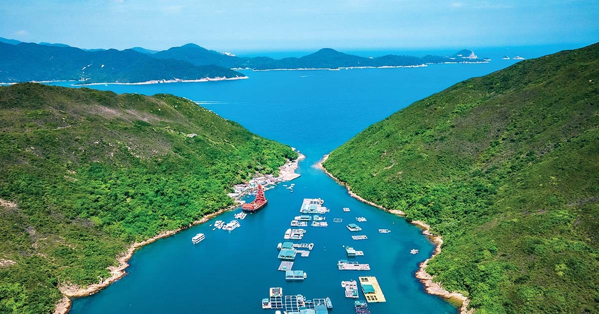 Visit a fish farm at Kau Sai Chau | Hong Kong Tourism Board