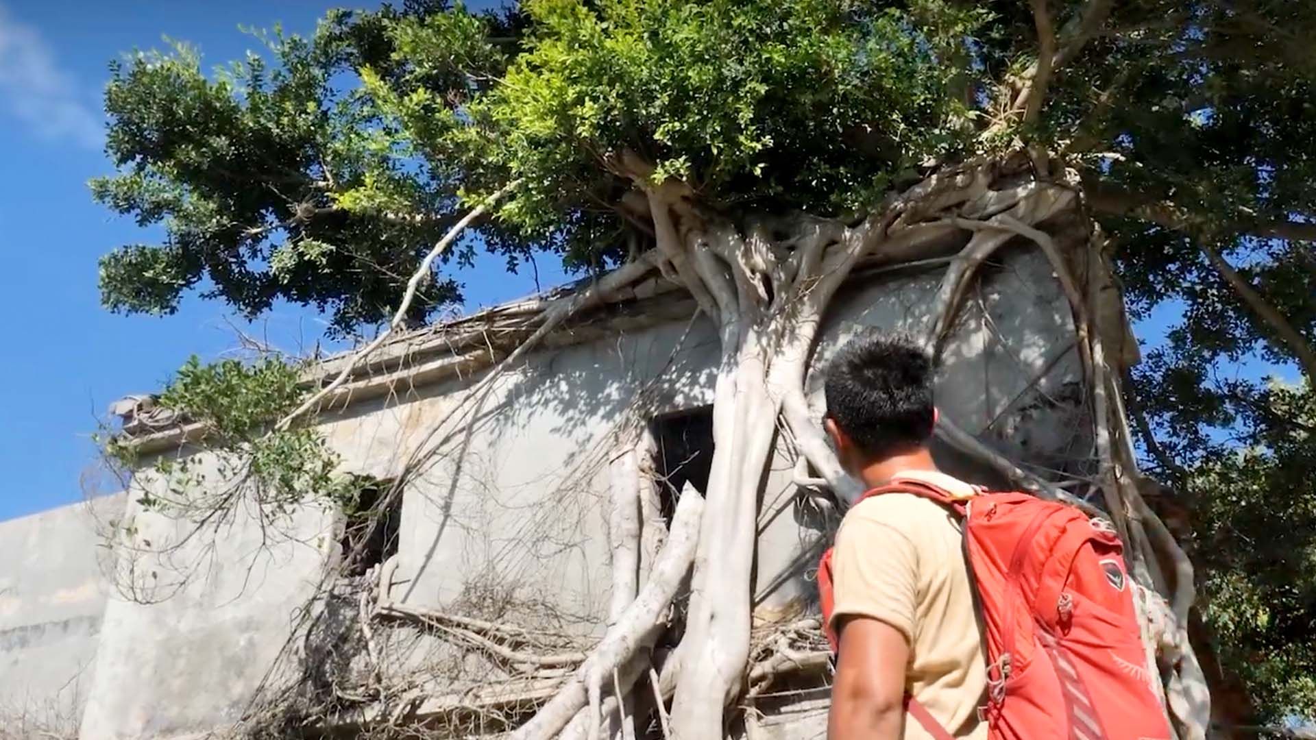 Tung Ping Chau | Hong Kong Tourism Board