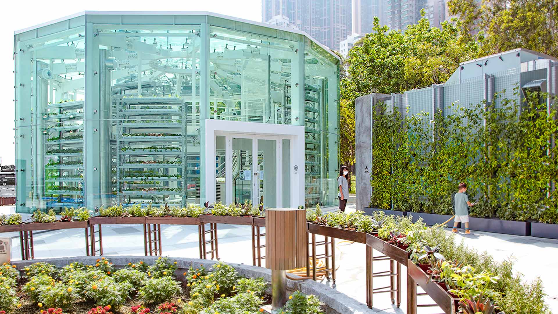 Explore Hong Kong’s Harbourfront Shared Spaces | Hong Kong Tourism Board Explore Hong Kong’s Harbourfront Shared Spaces | Hong Kong Tourism Board