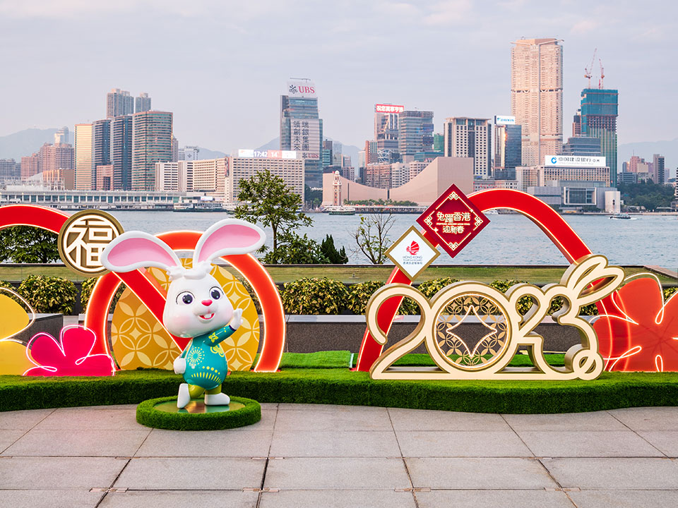 A Sea of New Year Blossoms at Tamar Park | Hong Kong Tourism Board