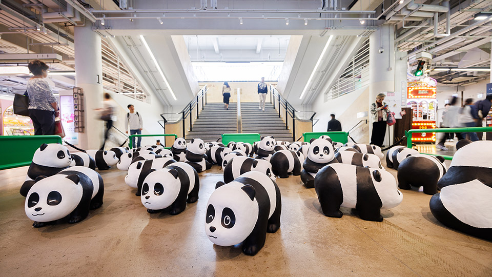 Welcome the panda twin cubs and meet our new members! | Hong Kong ...