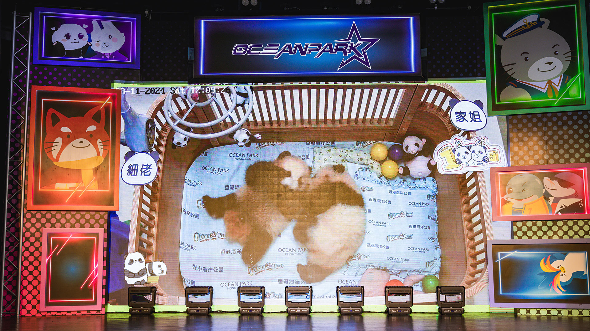 Panda extravaganza: Meet new pandas! | Hong Kong Tourism Board