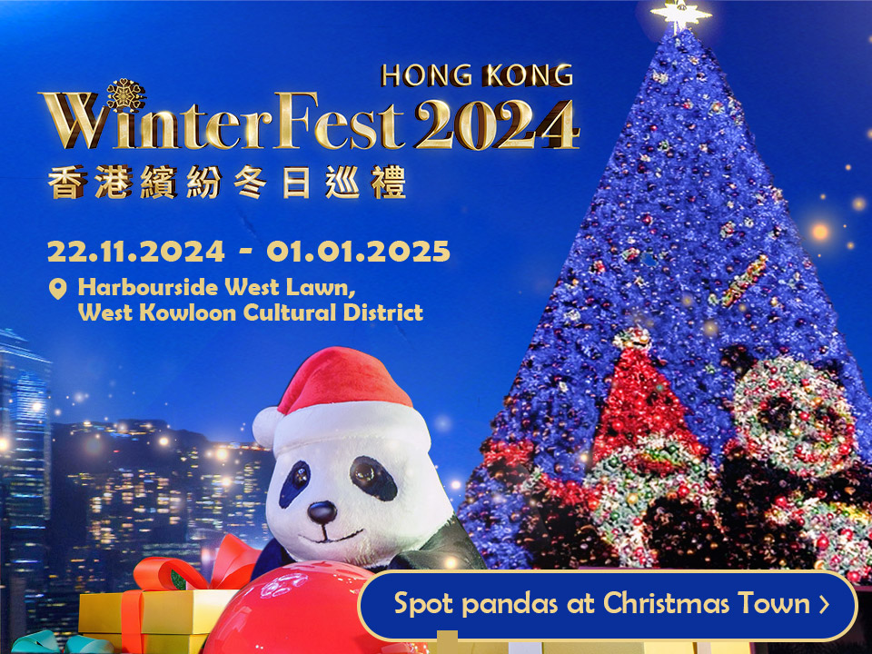 Panda extravaganza: Meet new pandas from 8 December! | Hong Kong ...
