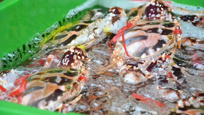 Aberdeen Fish Market & Promenade | Hong Kong Tourism Board