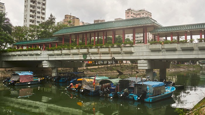 A Glimpse of Local Livelihood: Tai Po | Hong Kong Tourism Board