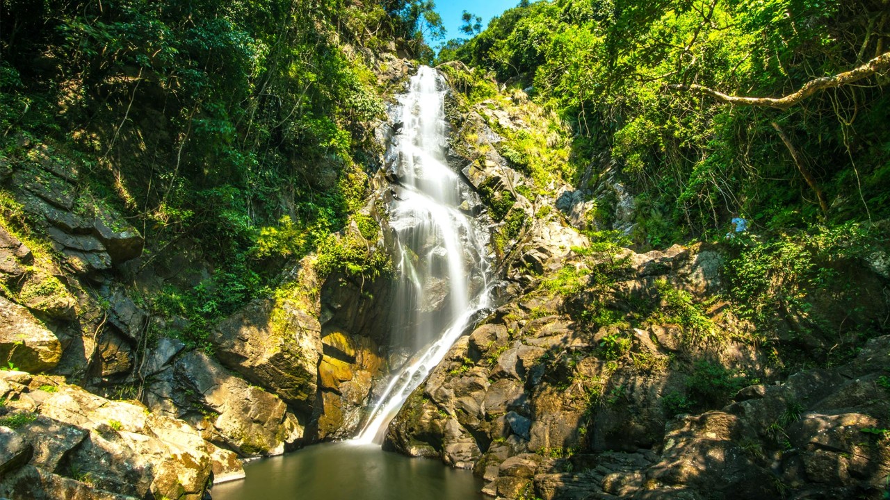大埔（Tai Po） | Hong Kong Tourism Board