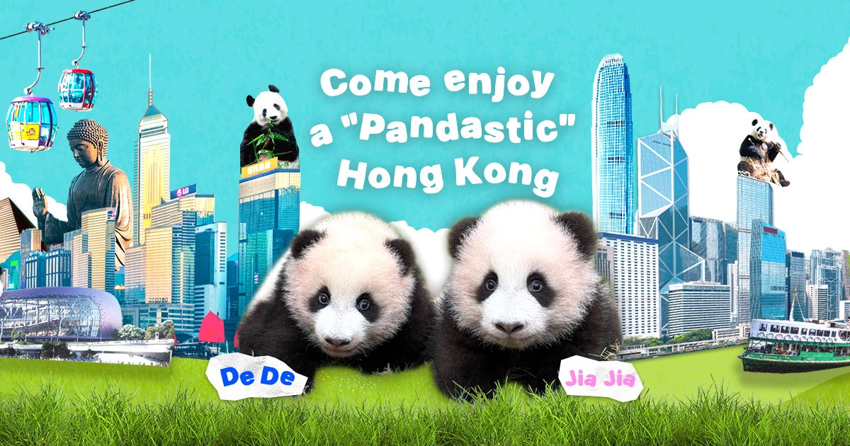 Panda-tastic picks: Shop, eat and play! | Hong Kong Tourism Board